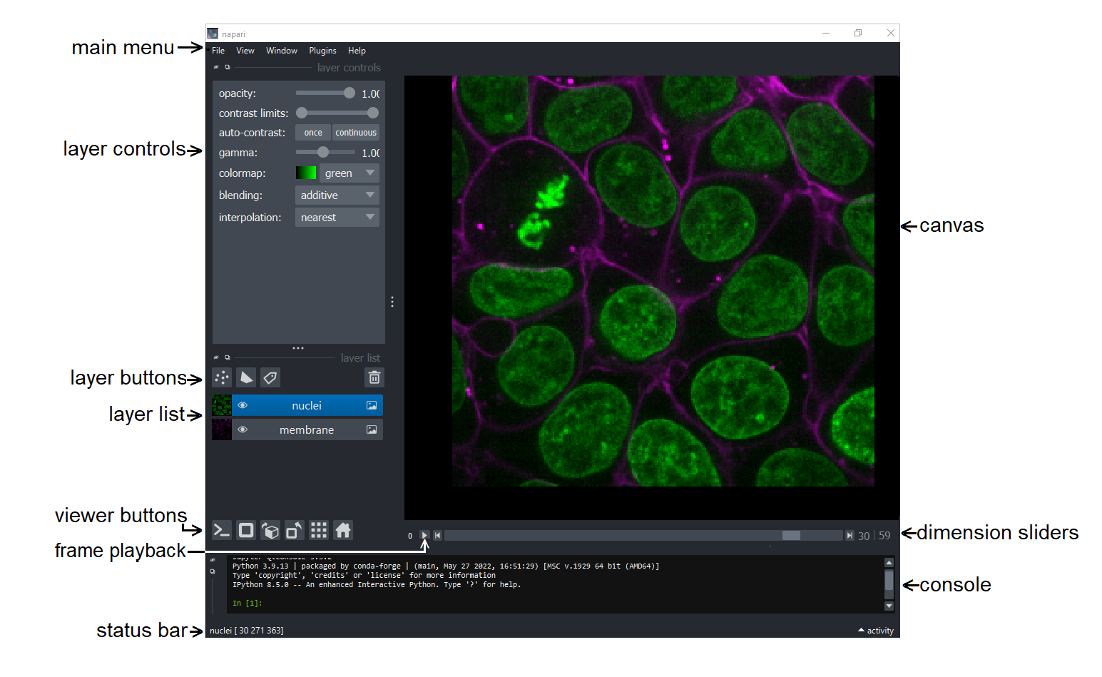 napari application — intro to napari workshop